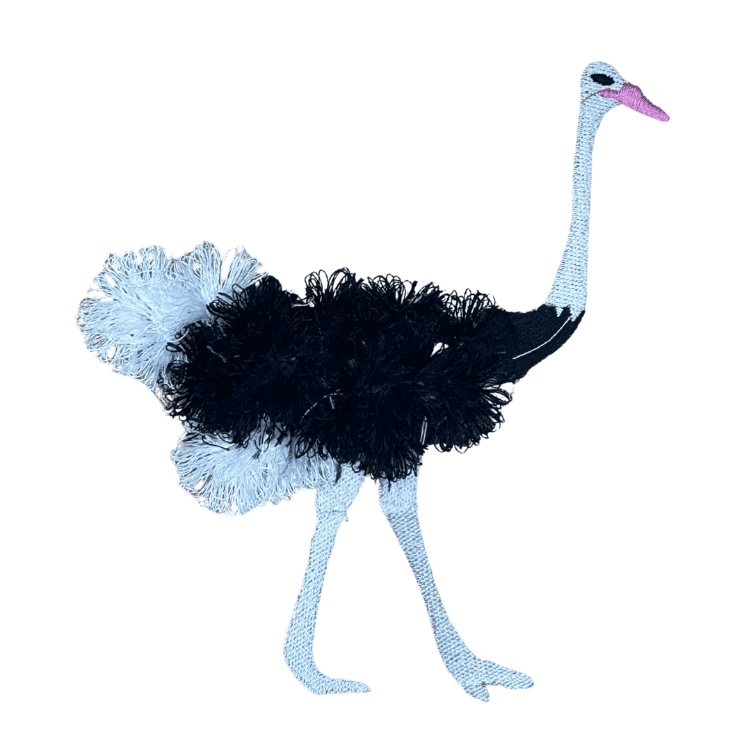 Fuzzy Fringe Ostrich 4x4 and 5x7